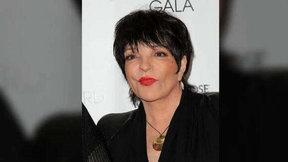 EXCLUSIVE: Liza Minnelli's Nightmare Marriage — Singing Icon Opens Up ...