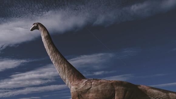 The World Beneath Their Feet: How Dinosaurs Navigated a United Earth ...
