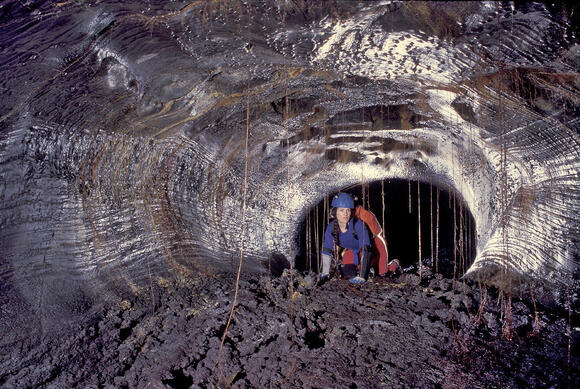 The Forgotten Caves Beneath Napier: Erosion, Earthquakes, and Fossil ...
