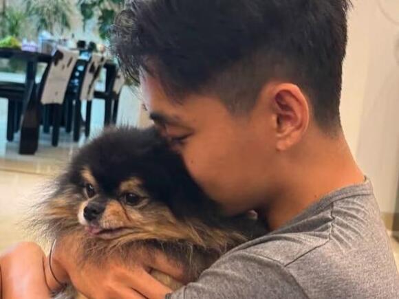 BTS member V reveals his beloved dog Yeontan has died - NewsBreak