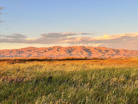 6 Easy Bay Trail Walks Near Sunnyvale, Made for Sunset Dates - NewsBreak
