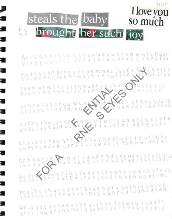 Document #EFTA02731361 And Jeffrey Epstein’s Alleged Eugenic Breeding ...