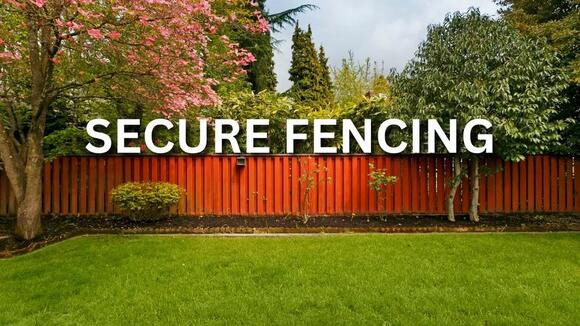 Texas Cold Snap Brings Bold Coyotes: Protect Your Pets Now - NewsBreak