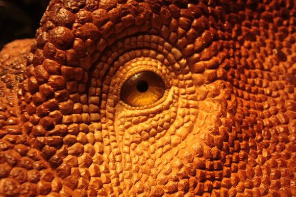 The Truth About T-Rex: Beyond the Hollywood Roar - NewsBreak