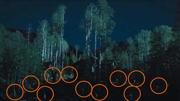 Toward the end of Psycho, Alfred Hitchcock spliced in a frame of a ...