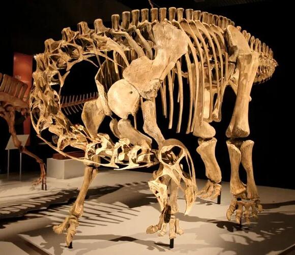 10 Lesser-Known Dinosaurs You Won’t Believe Once Walked the Earth ...