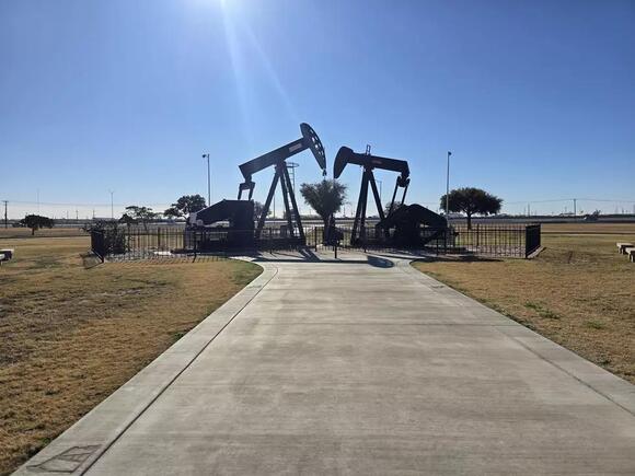 Why Slower Animals Are Winning at Survival - NewsBreak