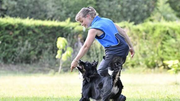 Which Dog Breeds Have the Strongest Bites? - NewsBreak