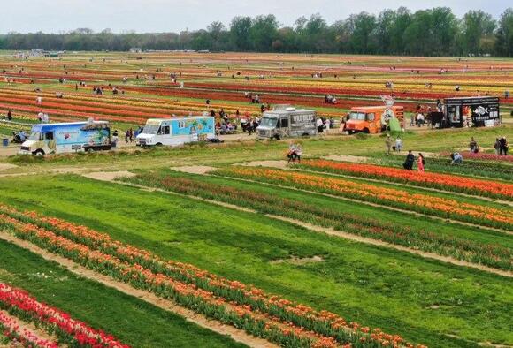 Get your tickets NOW: Holland Ridge Farms tulip season starts this week ...