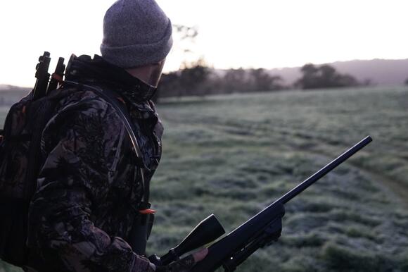 Idaho Man Sentenced for Multi-Year Poaching Scheme in Western Wyoming ...