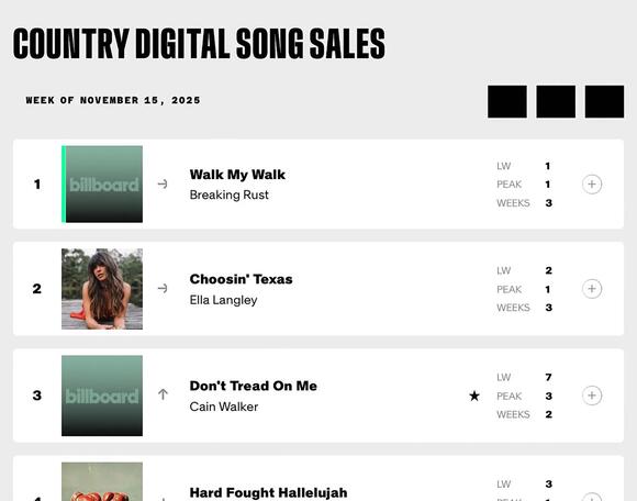 That Breaking Rust song topping the Billboard country charts? It’s AI-generated - NewsBreak