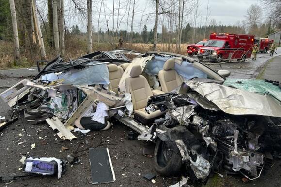 Driver Survives Scary Crash into a Lake Stevens Tree - NewsBreak
