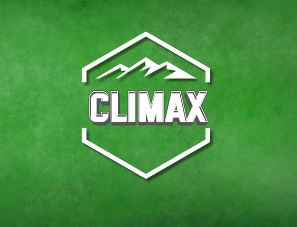 Colorado Pauses Gray Wolf Releases for 2026 - NewsBreak