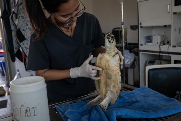 Photos: In this part of the world, nearly every pepper farmer is a ...