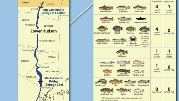 Families can now eat some Hudson River fish for first time in 50 years ...