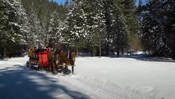 Why Washington Ranks As One Of The Grinchiest States - NewsBreak