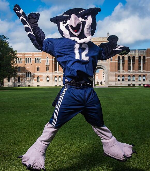 Meet The Iconic Live Animal Mascots Of College Football - NewsBreak