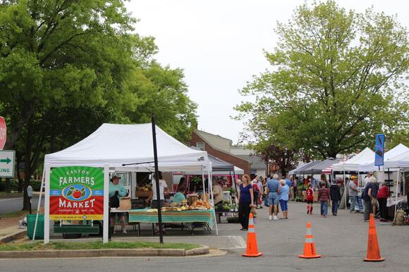 Talbot County farmers markets ready for spring season - NewsBreak