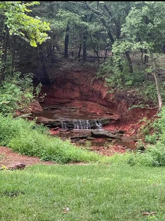 Student asks if storm makes snake-filled pond safe to explore: 'Can I ...