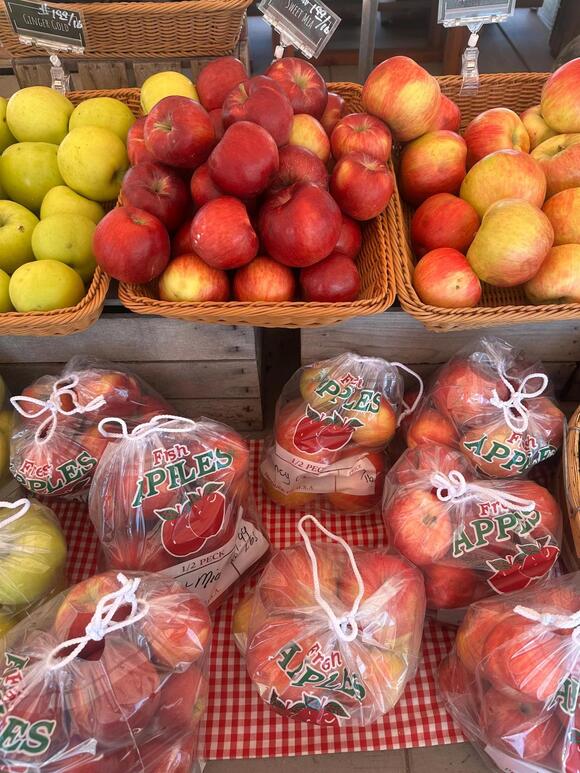 Apple vs. Pumpkin: The Ultimate Fall Flavor Showdown - NewsBreak