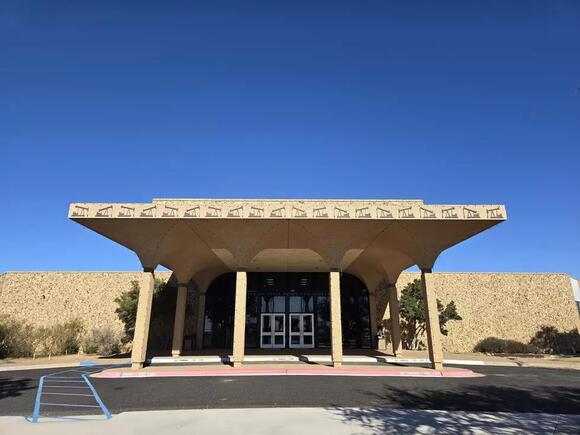 Why Slower Animals Are Winning at Survival - NewsBreak