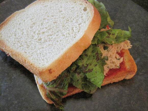 Food Experts Say Stop Using Mayo in Tuna Sandwiches – Here's Why ...