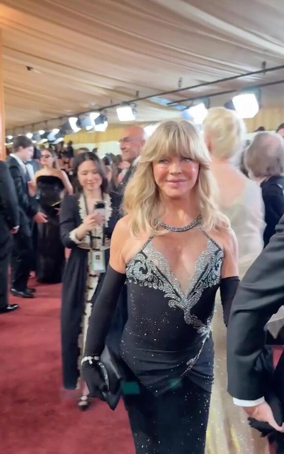 Goldie Hawn, 80, Turns Heads in Chic Black Look on the 2026 Oscars Red ...