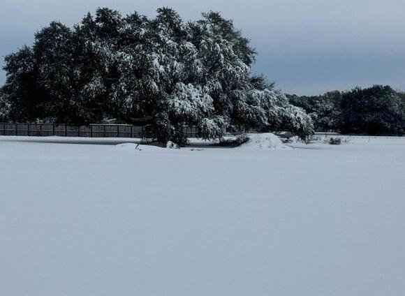 Louisiana Sets Record Snowfall Amount in 1895 - NewsBreak