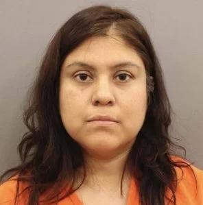 Passenger Killed in Harris County Rollover Crash; Driver Charged With ...
