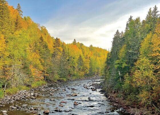 Minnesota DNR shares expectations for 2024 fall colors