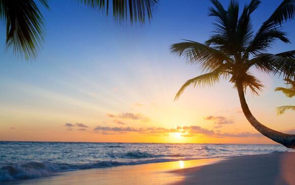 New Tropical Destination Coming Soon To Rockford Airport - NewsBreak