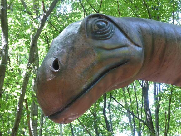 Why One Dino Had Armor… on Its Eyelids - NewsBreak