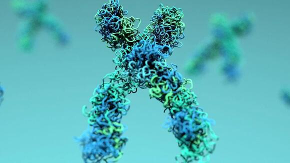 Age-Related 'Unraveling' of DNA May Be Reversible, Study Suggests ...