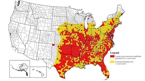 Rare Tick Virus Just Discovered In New York For 1st Time - NewsBreak