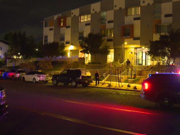 Police identify woman killed after being thrown off building, boyfriend ...