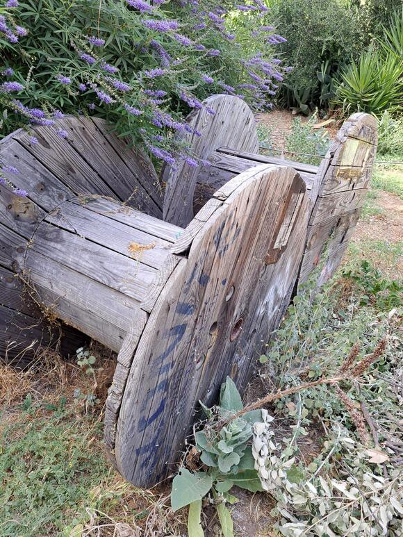 🎁 Freebies Up for Grabs in Davis — Furniture, Garden Gear & More ...