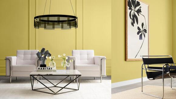 Sorry, Sherwin-Williams, We’ve Already Chosen OUR 2025 Color Crush ...