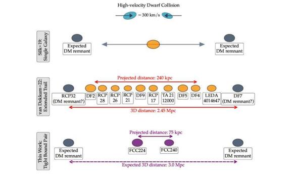 Possible dark matter-deficient twins discovered in the Fornax Cluster ...