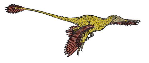 The Strange Case of Four-Winged Dinosaurs - NewsBreak