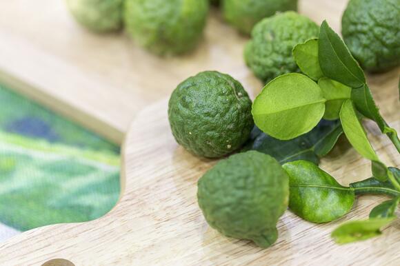 How to Grow a Makrut Lime Tree at Home for Fragrant Leaves and Fresh ...