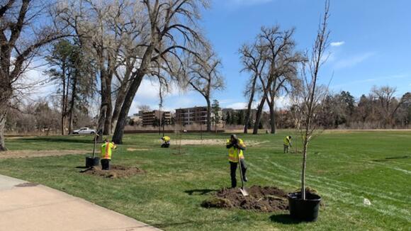 City of Colorado Springs to plant trees at Oak Valley Ranch Park for ...