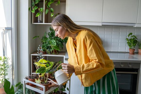 Master Gardeners Say This Common January Habit Is Killing Houseplants ...