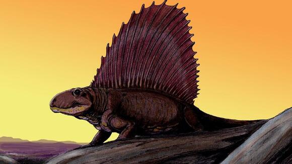 The Forgotten Giants: Discovering Earth’s Earliest Prehistoric ...