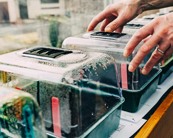 Want Stronger, Healthier Seedlings? These Seed Germination Stations ...