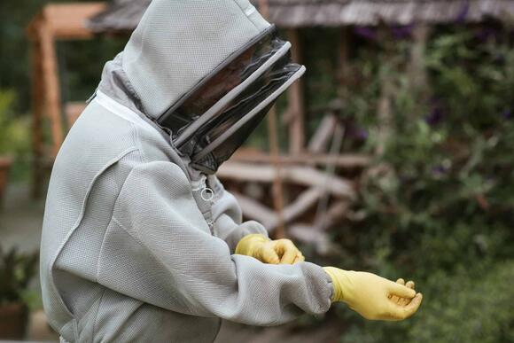 Texas Ranchers Injured and Horses Killed in Aggressive Bee Attack ...