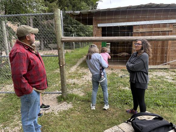 Visitors excited to welcome new rare tiger cubs at Shalom Wildlife Zoo ...