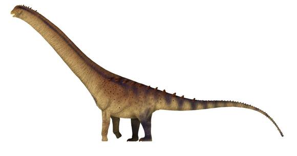 New Fossil Discoveries Are Changing Everything We Knew About Dinosaur ...