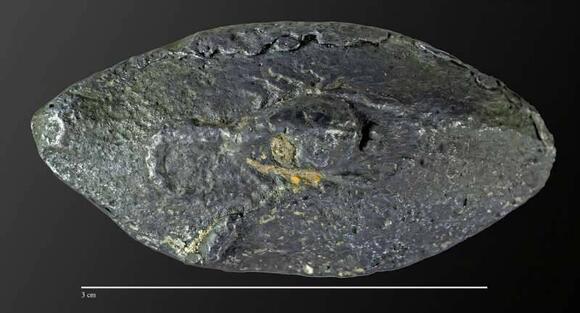 Archaeologists Just Uncovered A 2,100-Year-Old Sling Bullet Inscribed ...