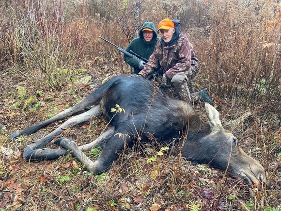 What surprised me most about Maine’s 2025 moose hunt results - NewsBreak