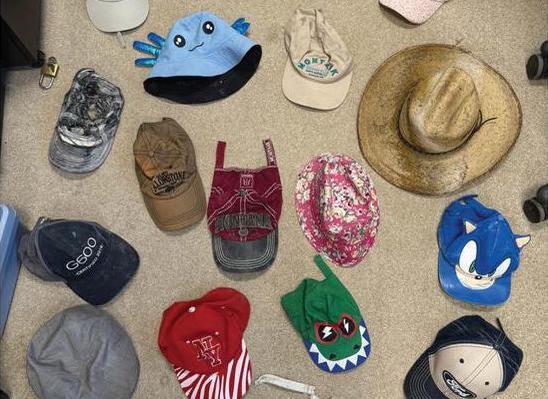 2025 was a 'typical' year in Yellowstone with 1,136 earthquakes and ...